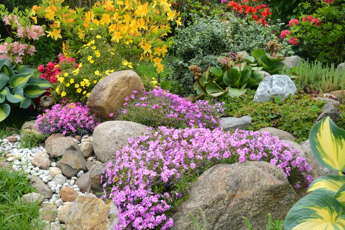 Comment aménager un jardin en rocaille